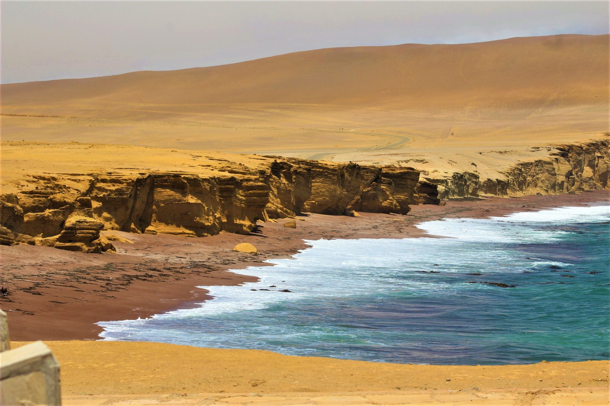 Explorador de Paracas